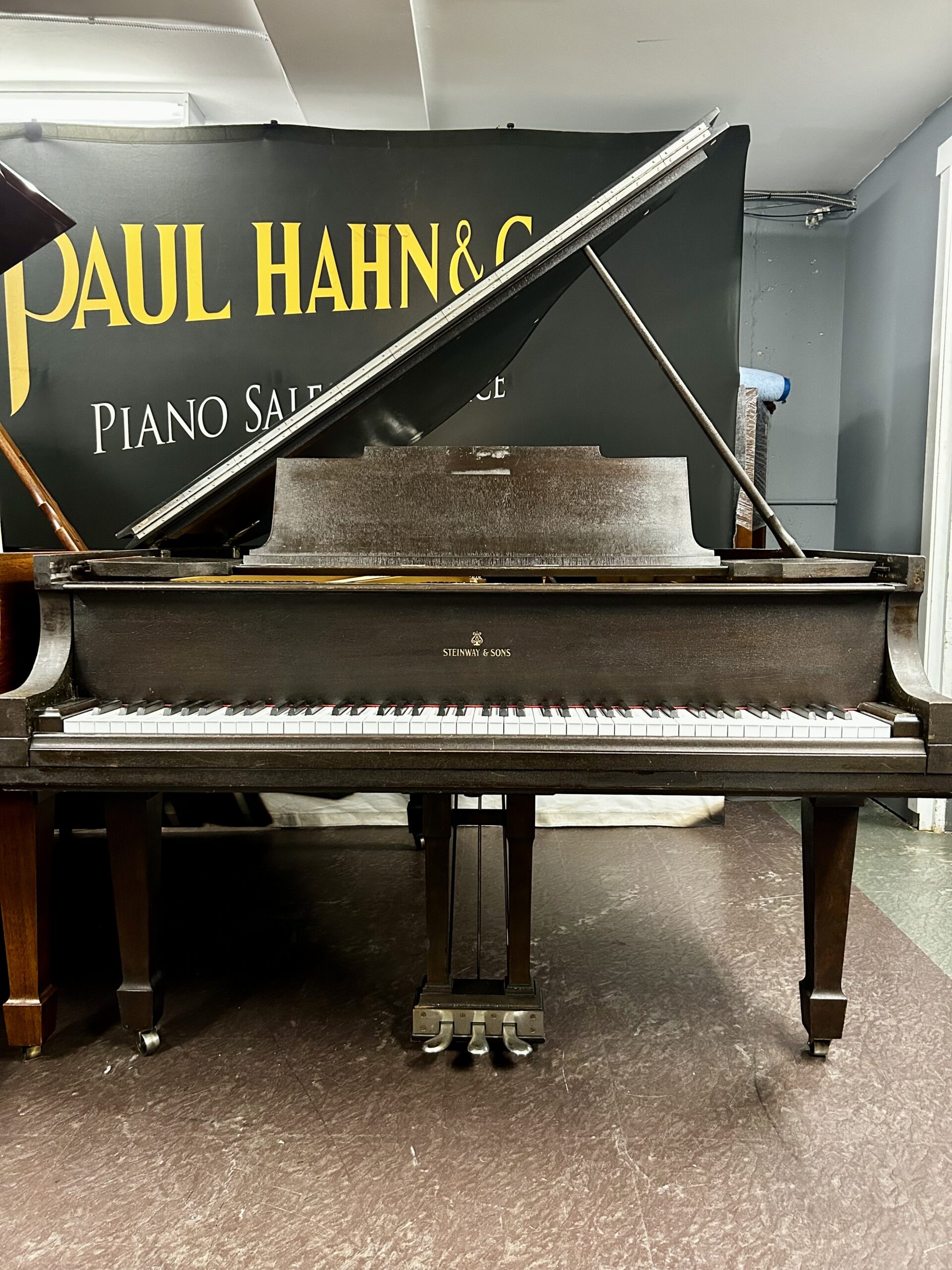 STEINWAY & SONS Grand Model M - Paul Hahn & Co.